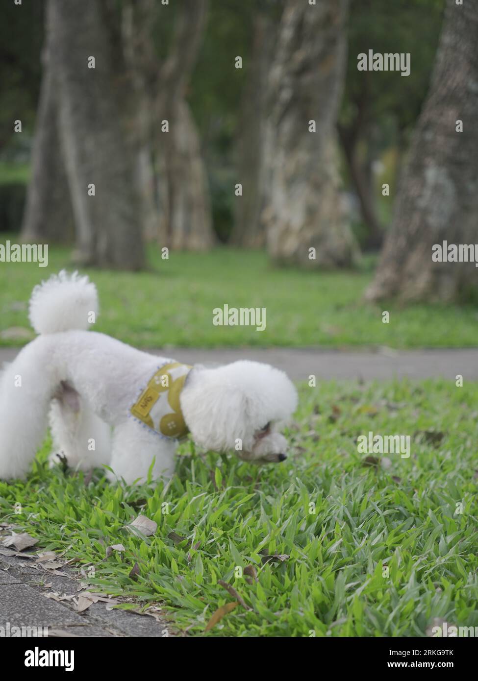 Child's Legs Bent In Rear Facing Car Seat at Richard Jett blog