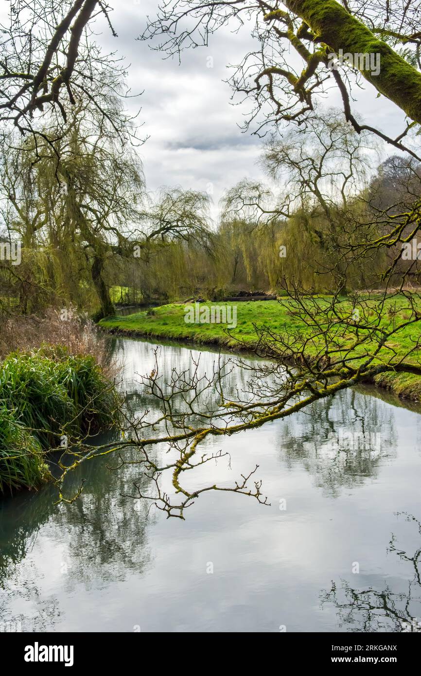 Overhanging tree hi-res stock photography and images - Alamy