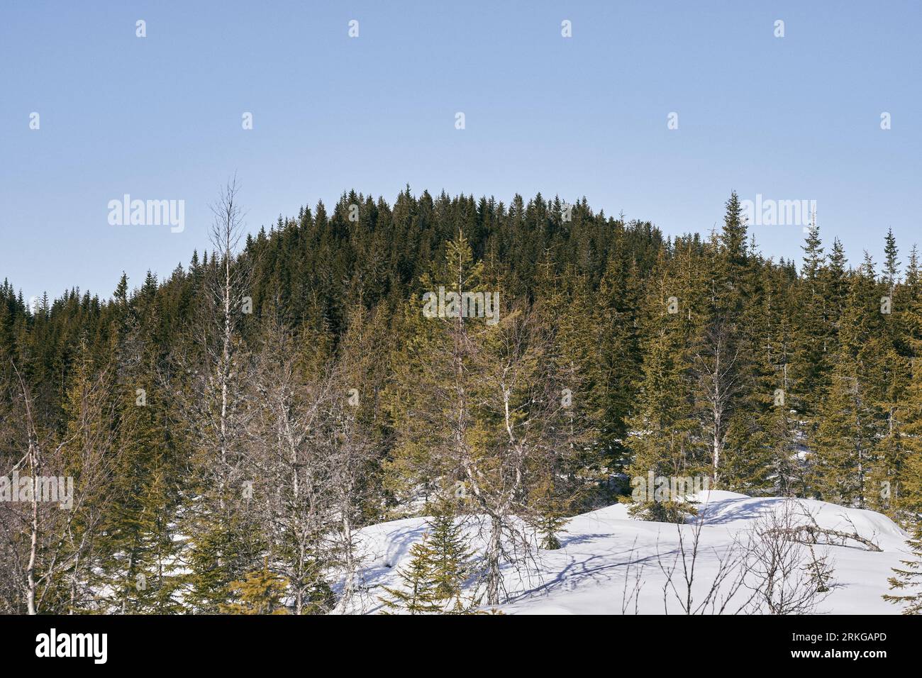 A picturesque landscape of Toten and the Totenasen Hills in Norway ...