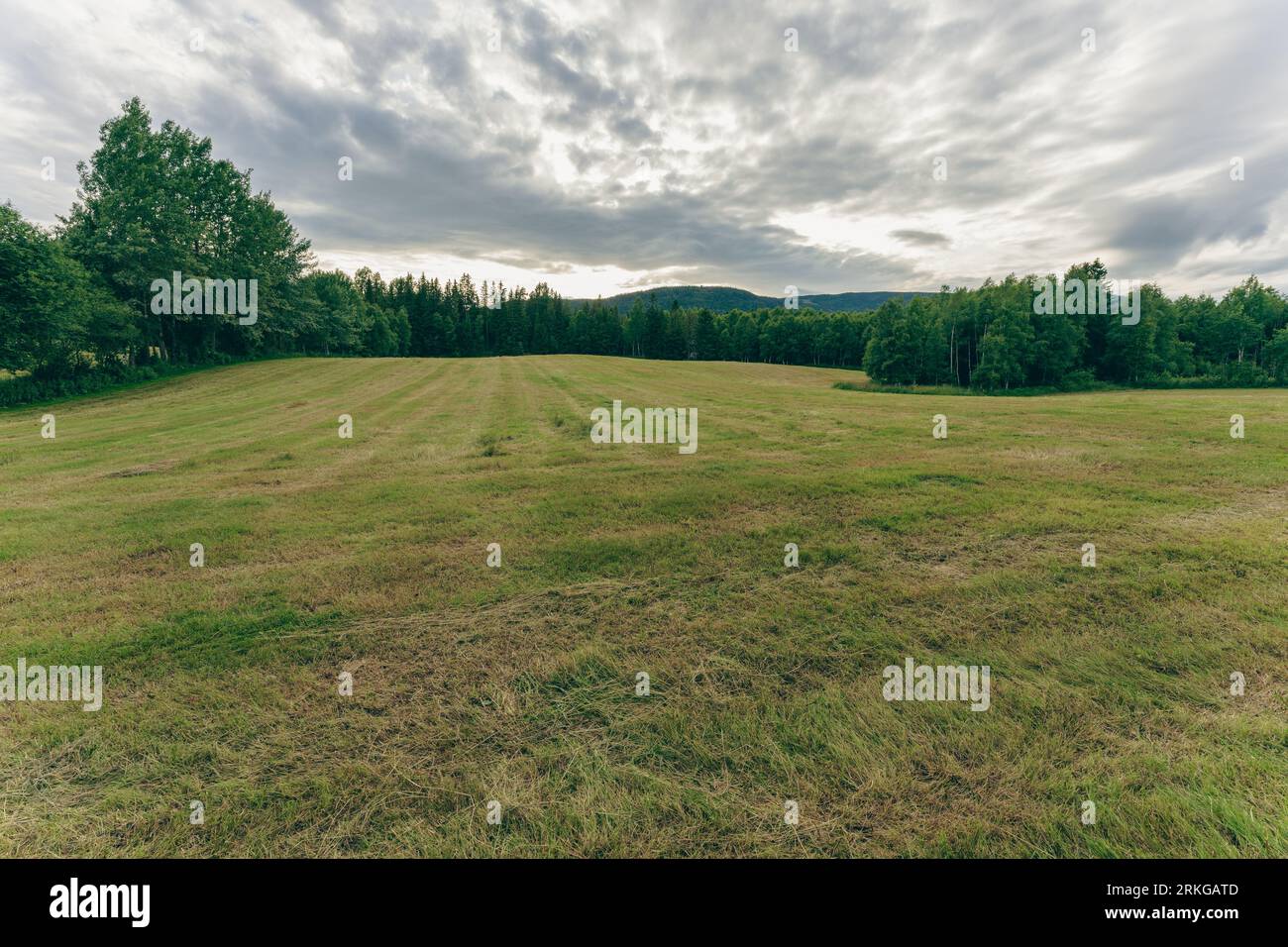 Hurdal norway hi-res stock photography and images - Alamy