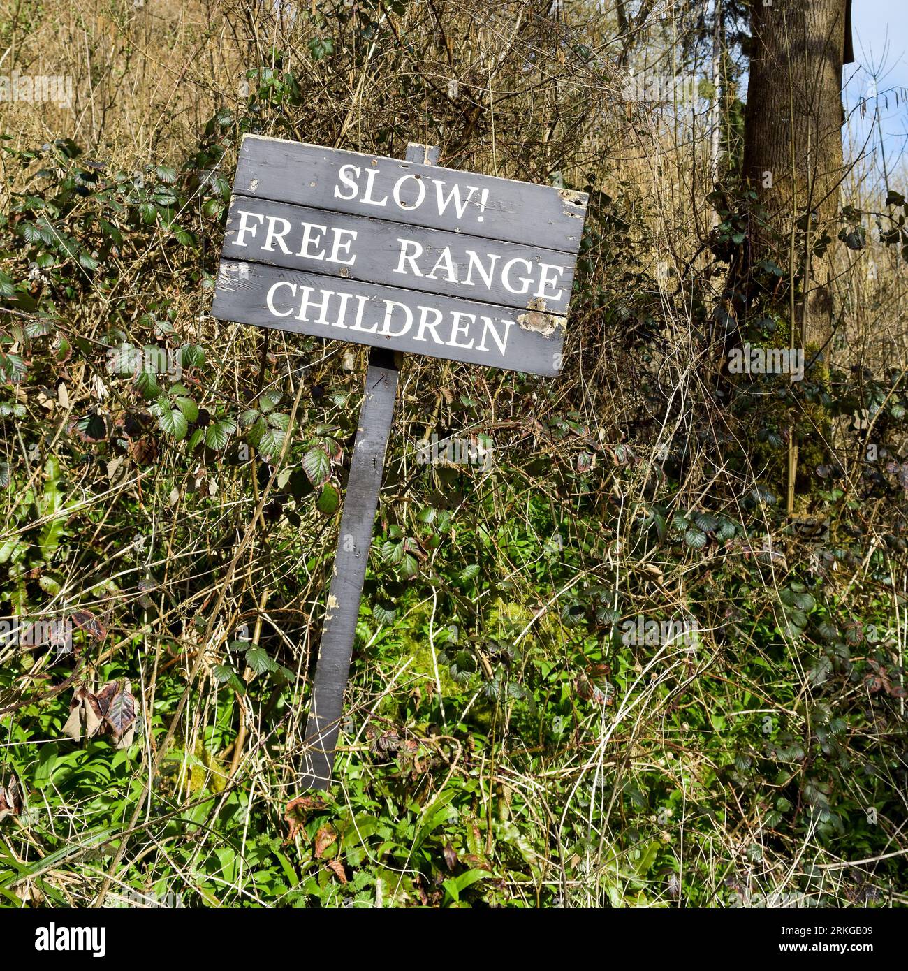 Amusing 'Beware of Free Range Children' road signs as you drive into ...