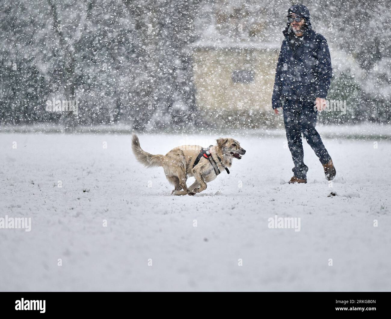 Snow in Cheltenham Stock Photo - Alamy