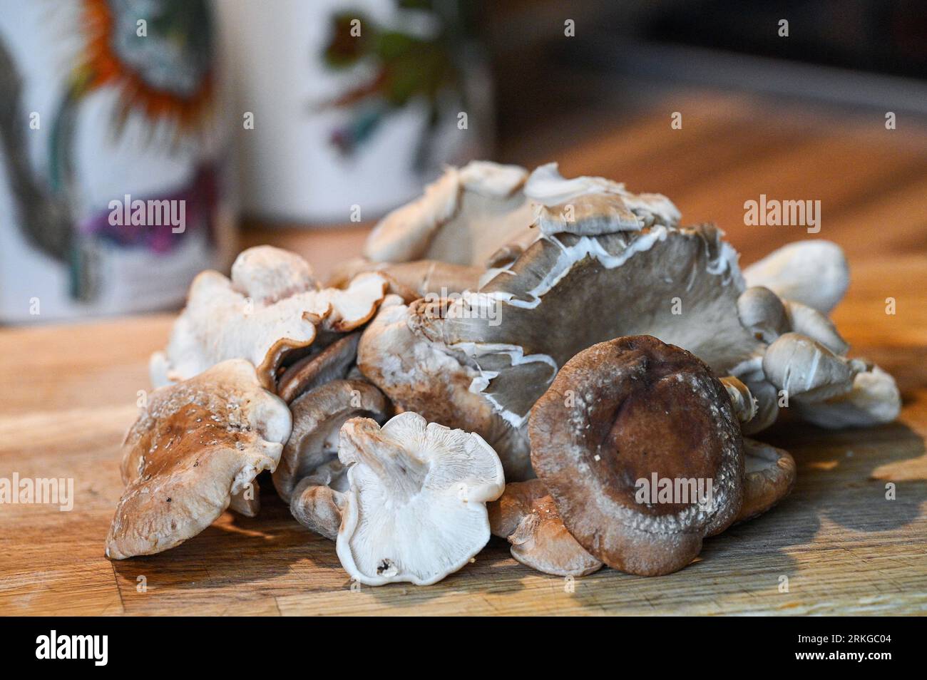 Uk mushrooms hi-res stock photography and images - Alamy