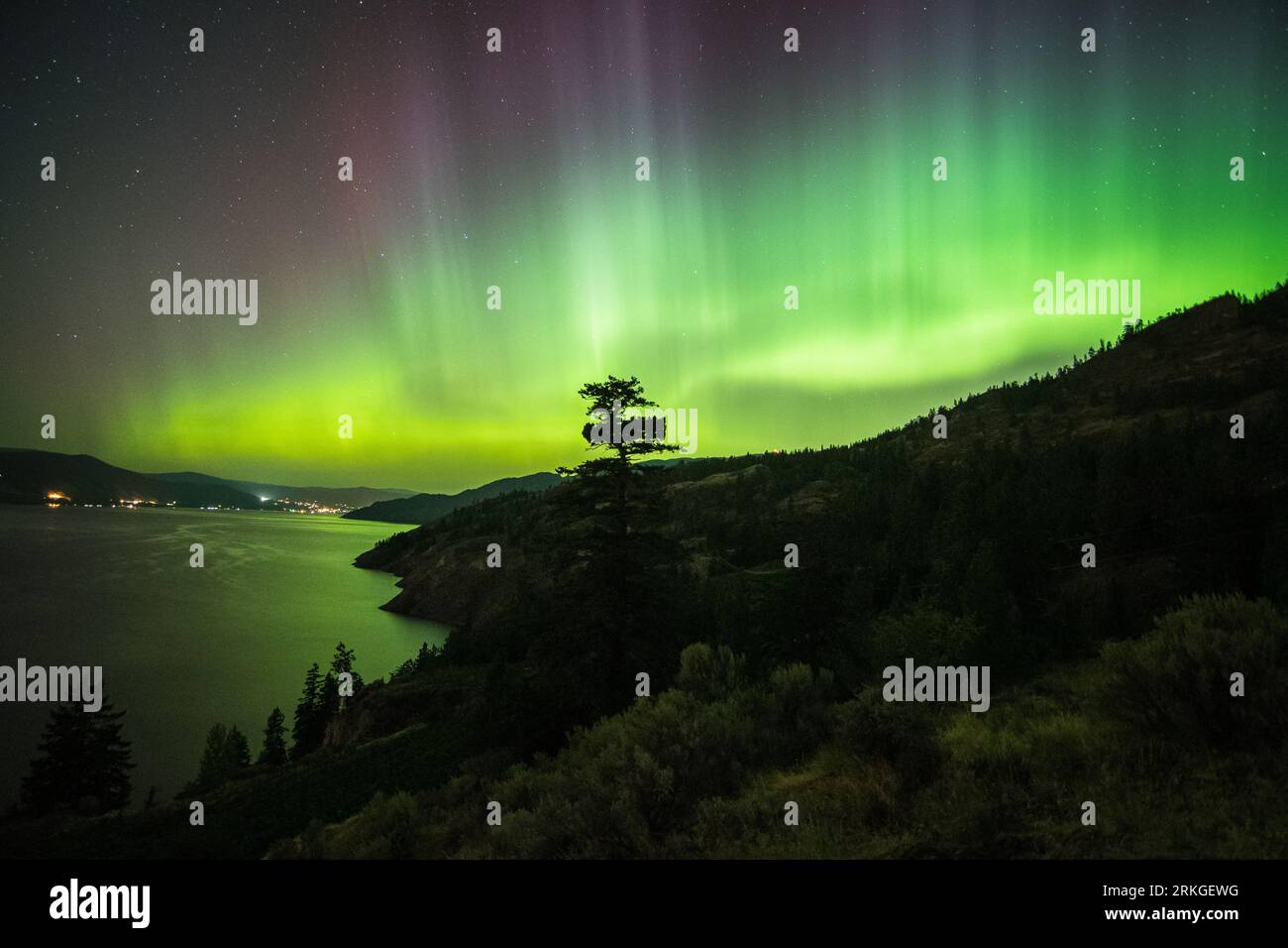 The stunning aurora borealis illuminates the night sky above the ...