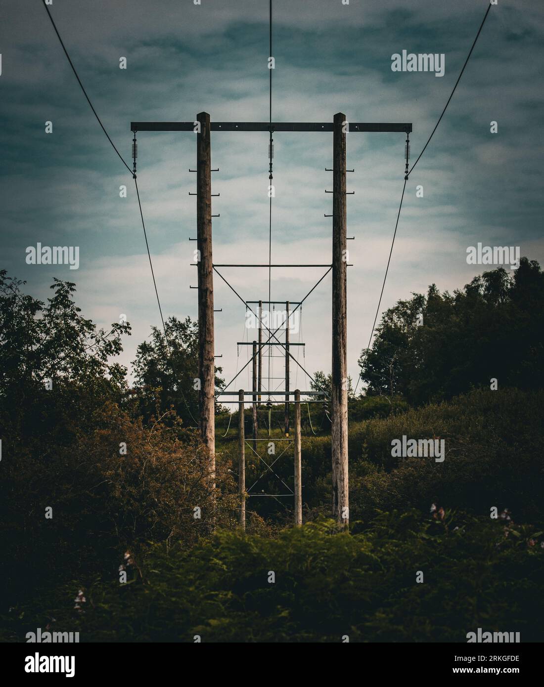 A powerline spanning across a scenic landscape with a backdrop of dark ...