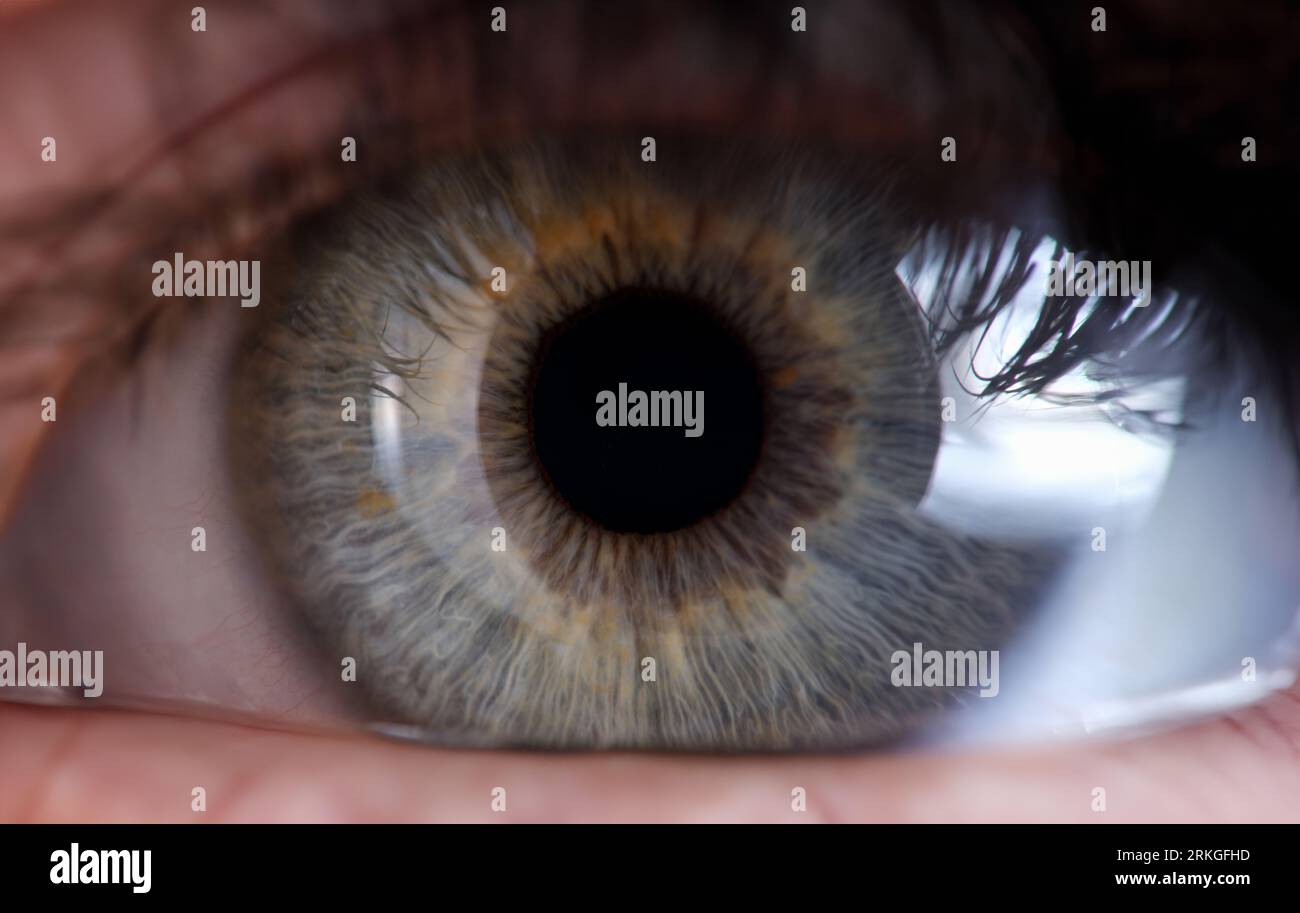 Female green-gray eye for medical examination closeup Stock Photo - Alamy