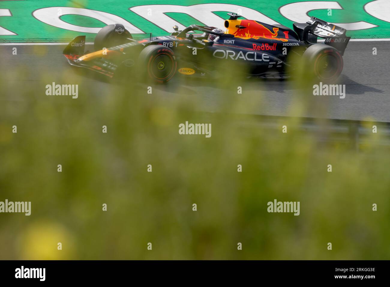 Dutch Formula One driver Max Verstappen of Red Bull Racing steers his ...