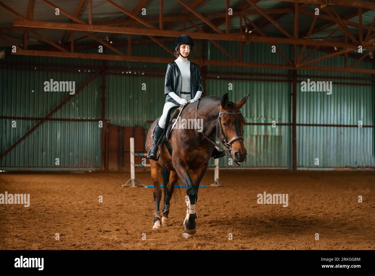 beautiful horse rider is training, equestrian sports Stock Photo - Alamy