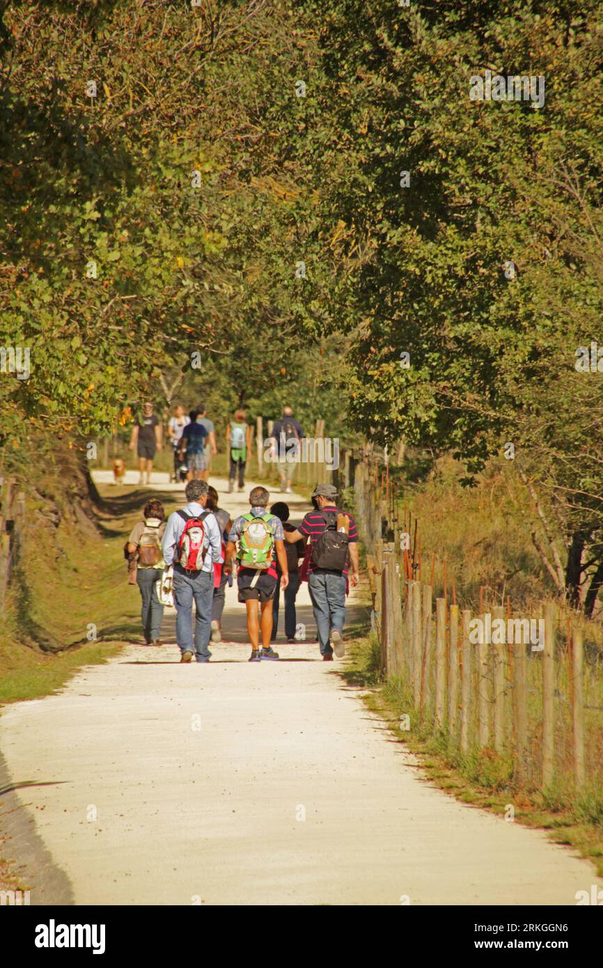 A diverse group of people walking together on a city sidewalk, observed ...