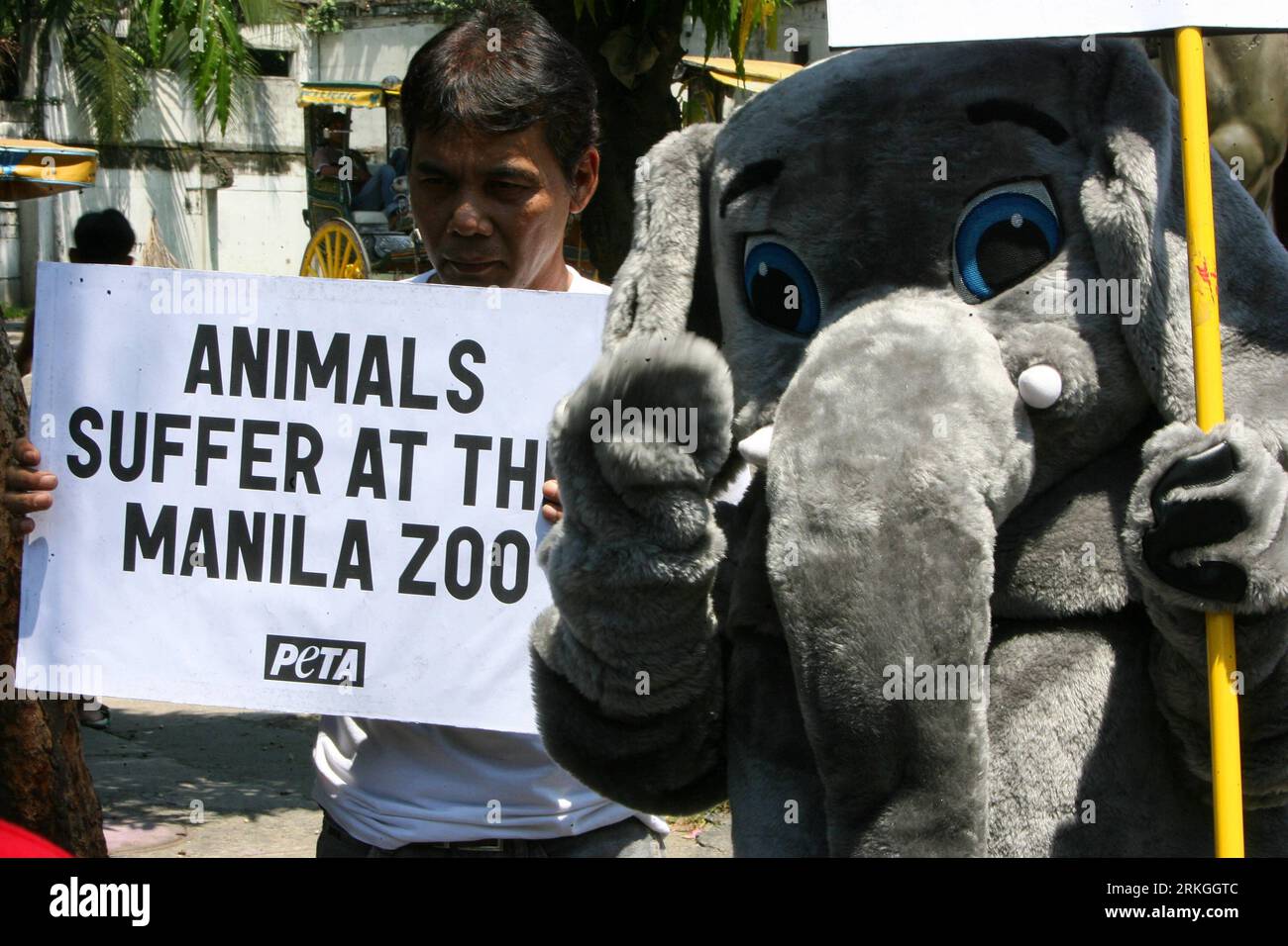An activist from peta hi-res stock photography and images - Alamy