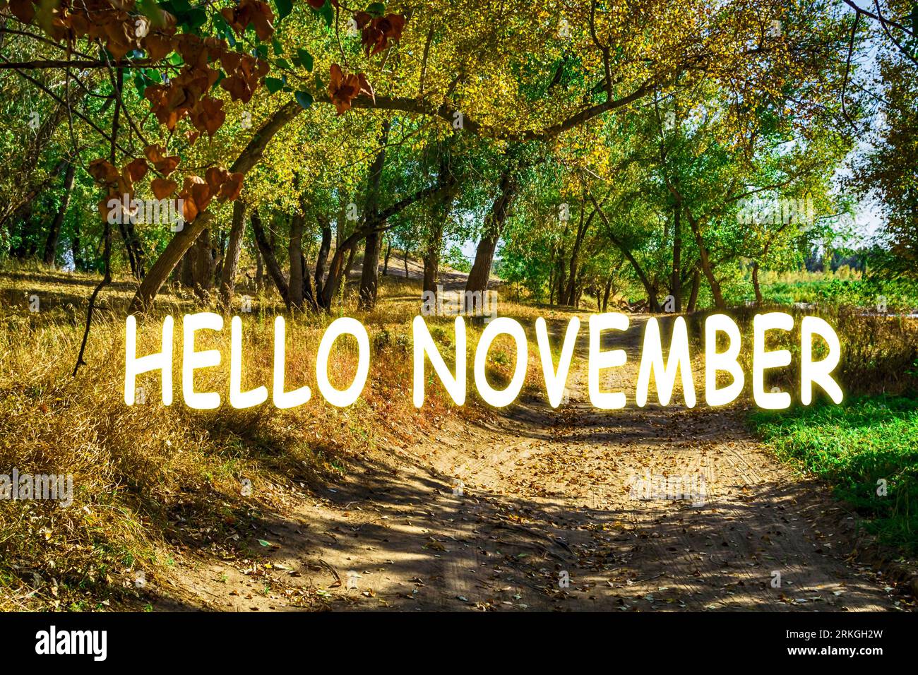 Nature background with lettering Hello November. Cloudy autumn weather ...