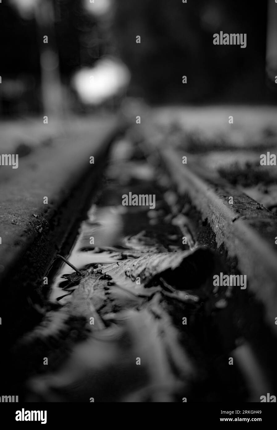 Close up street style Black and White Stock Photos & Images - Alamy