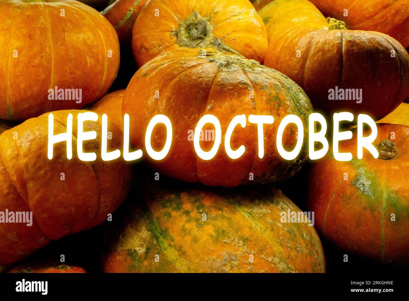 Nature background with lettering Hello october. Pumpkins closeup ...