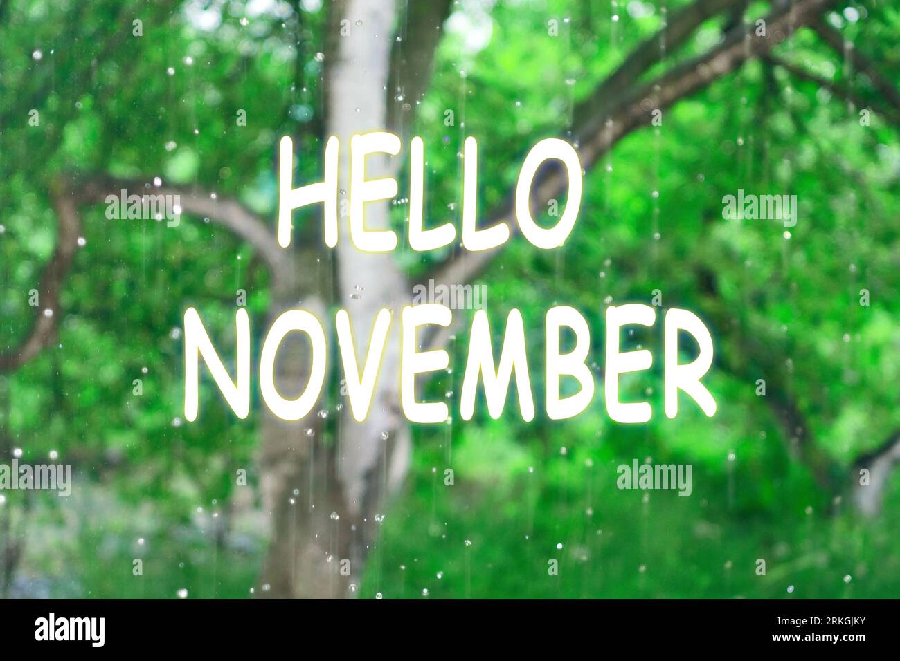 raindrops. Rain. Blurred Grass Background With Water Drops closeup ...