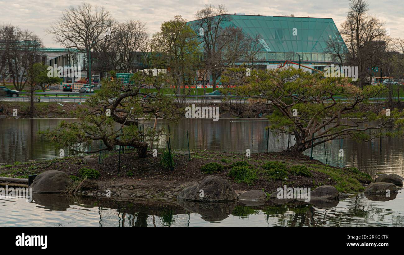 A Bonsai Trees on the Japanese Garden of Delaware Park during Spring ...