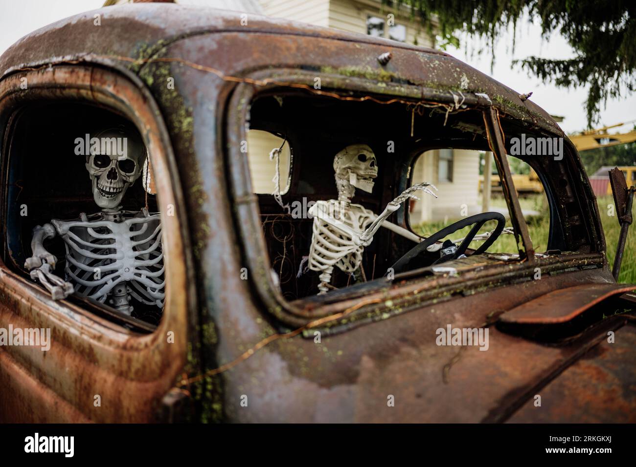 The two skeletons sitting in the driver's seat of a vintage parked car ...