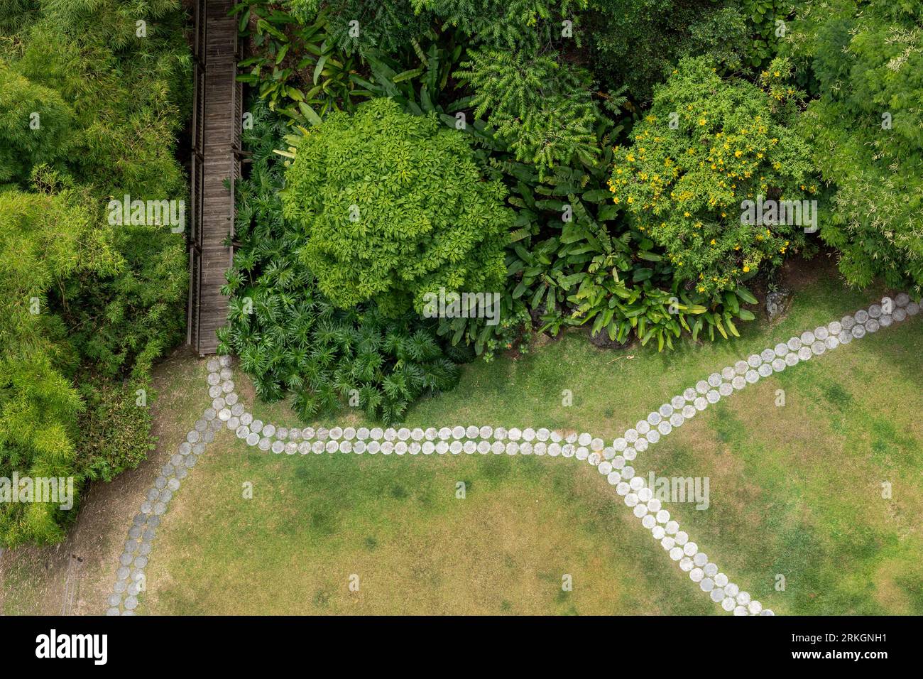 Aerial view lush green grass hi-res stock photography and images - Alamy