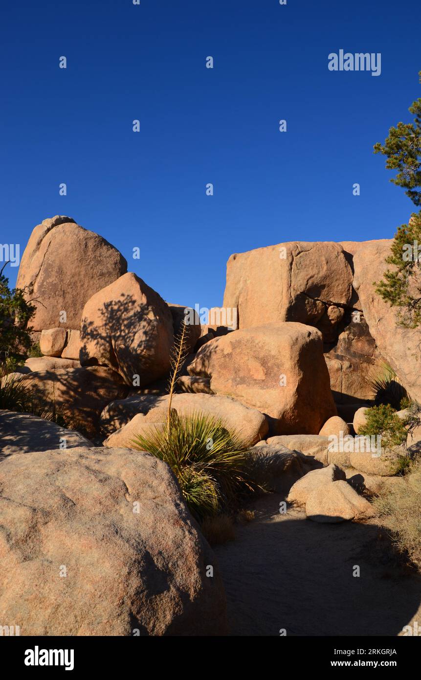 A scenic view of a rocky park with trees and shrubs surrounding the ...
