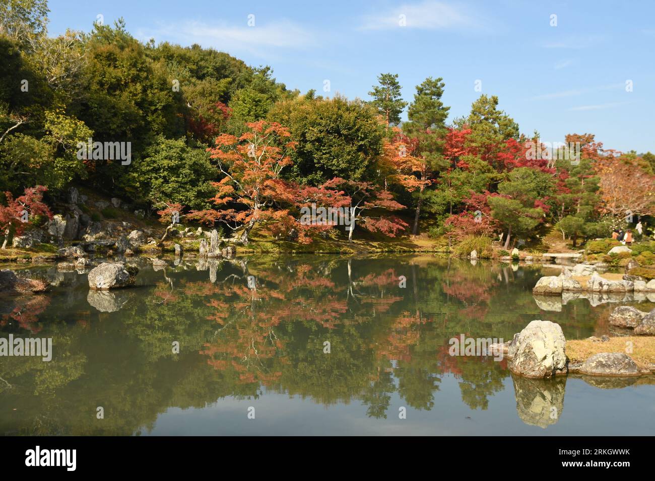Shoreline reflection lily pond hi-res stock photography and images - Alamy
