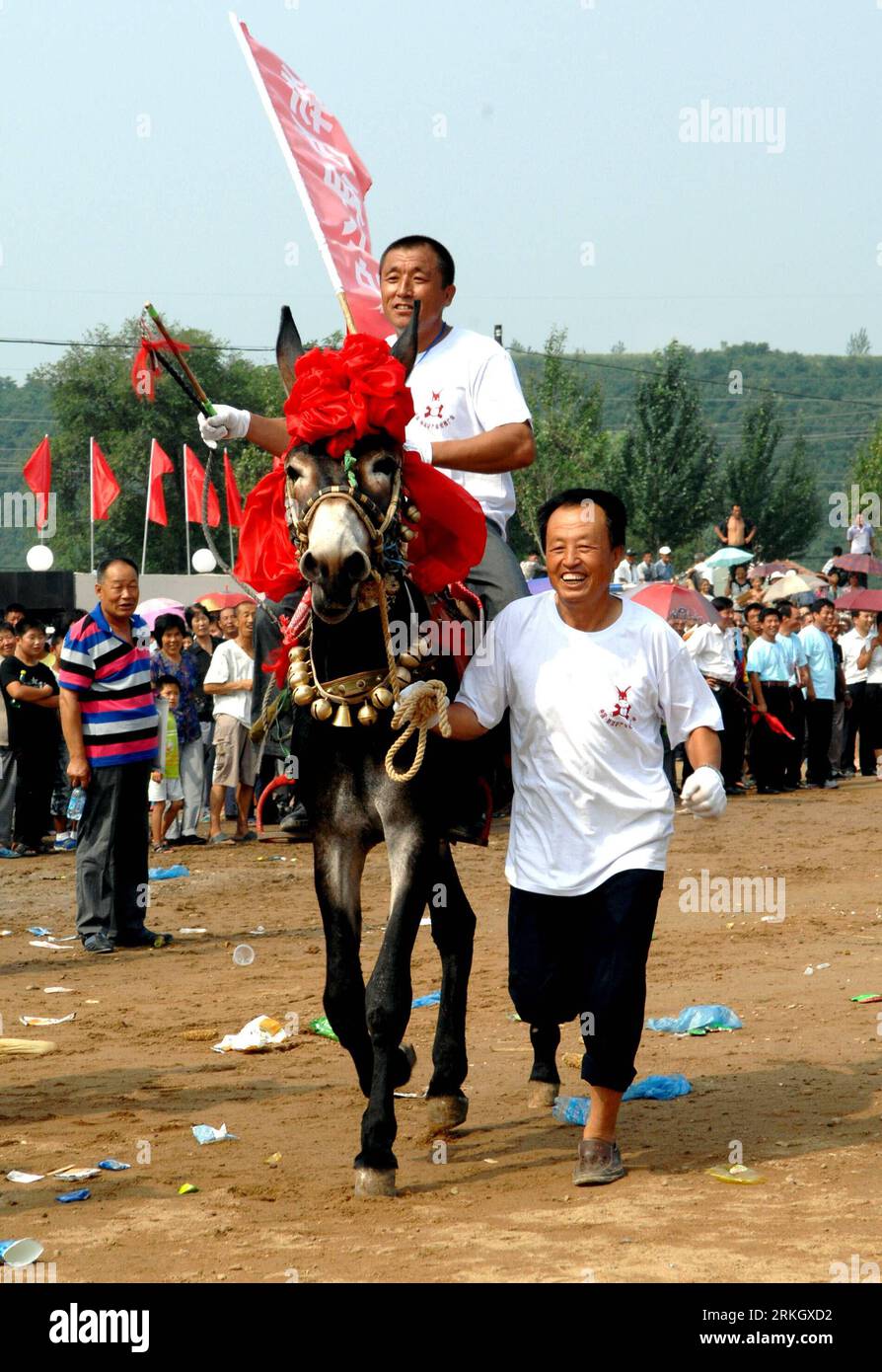 Esel rennen hi-res stock photography and images - Alamy