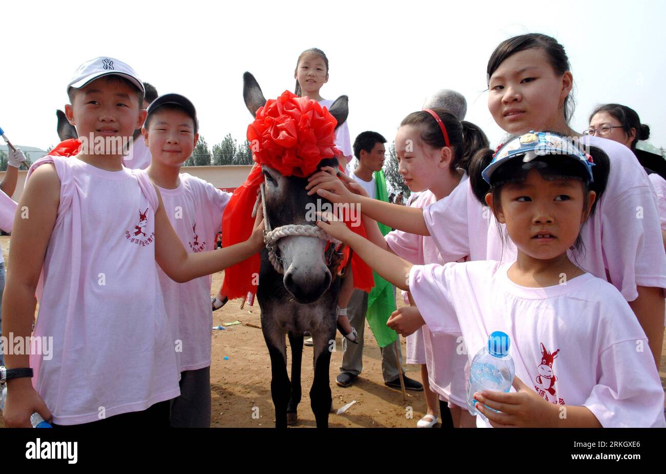 Esel rennen hi-res stock photography and images - Alamy