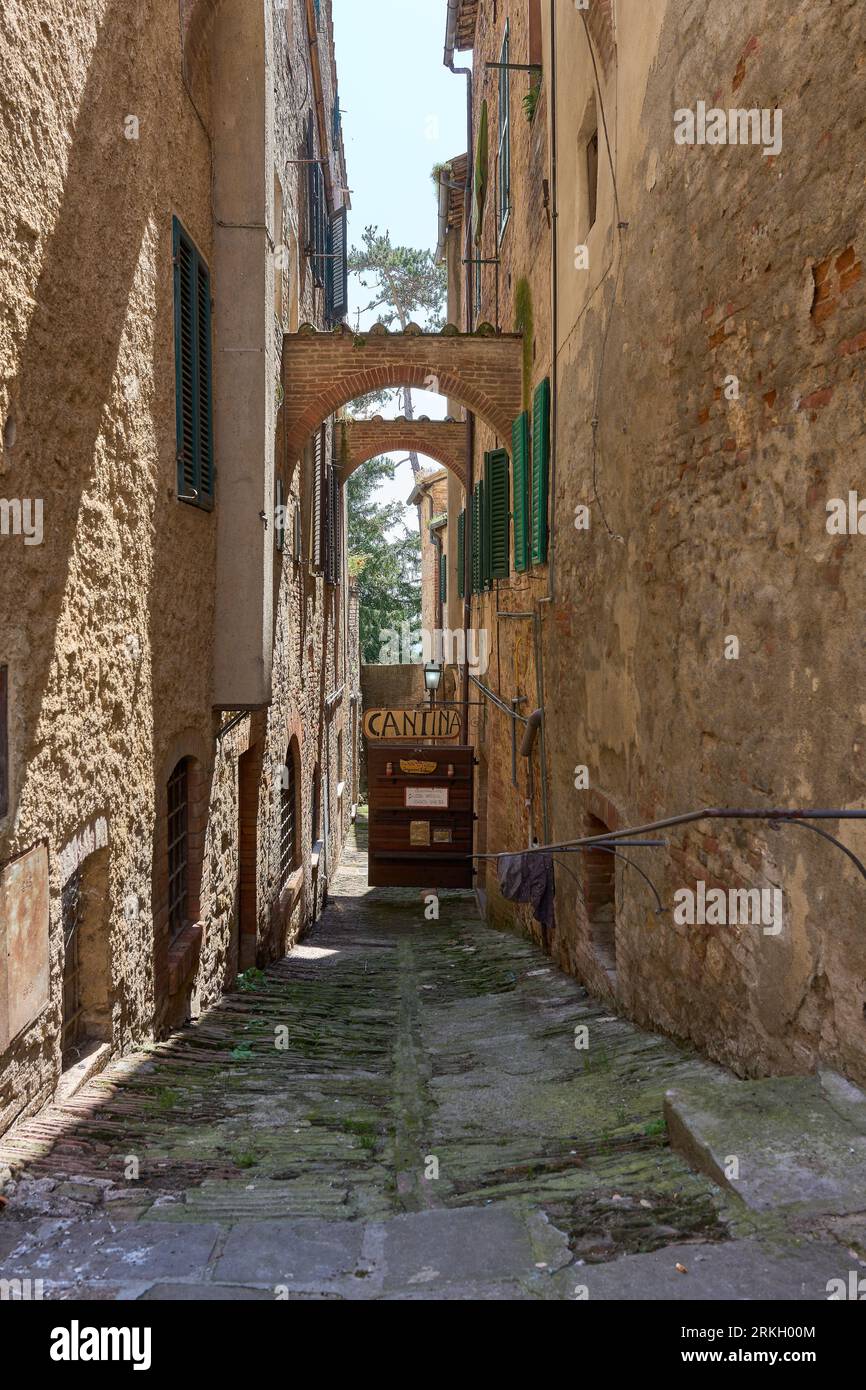 A stone pathway winds through a lush green alleyway, leading up to a ...