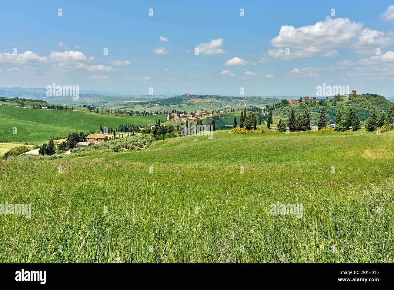 Showcasing vibrant green colors hi-res stock photography and images - Alamy