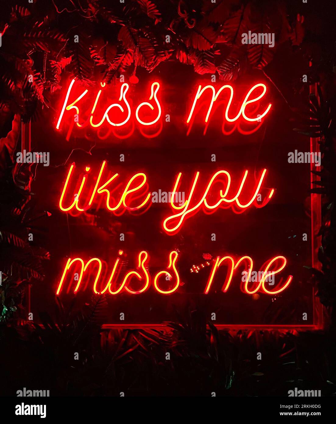 A vibrant neon sign a text that reads 'Kiss me like you miss me' Stock ...