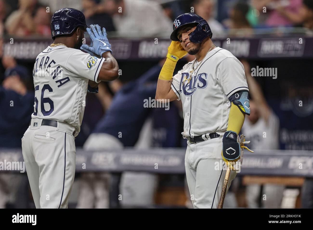 St. Petersburg, FL USA; Tampa Bay Rays left fielder Randy Arozarena (56 ...