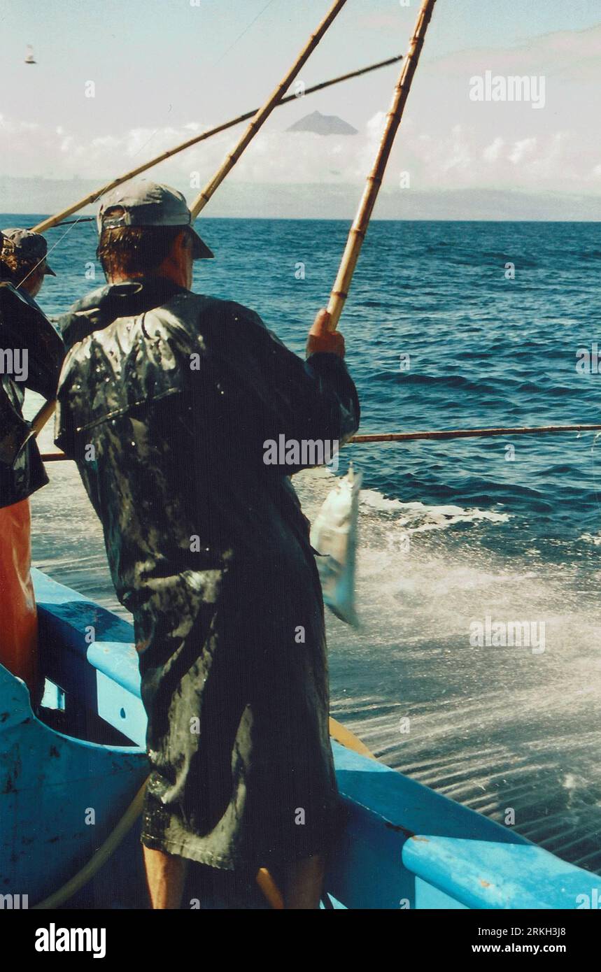 Pole and line tuna fisheries in the Azores islands, Portugal Stock ...