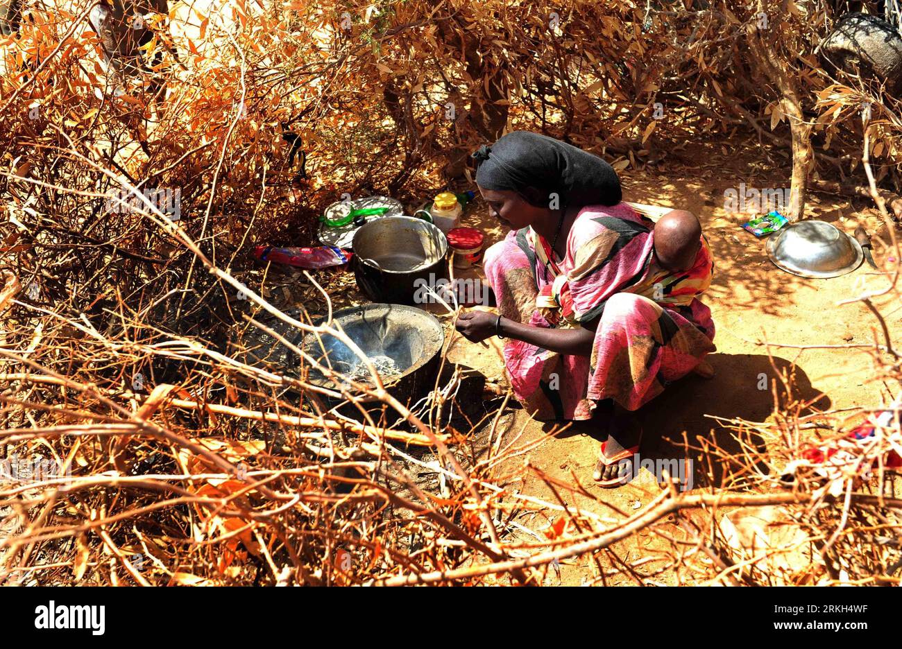 Ifo camp hi-res stock photography and images - Alamy