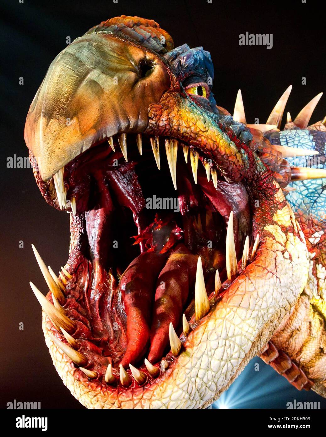 Bildnummer: 55684737 Datum: 08.08.2011 Copyright: imago/Xinhua (110808 ...