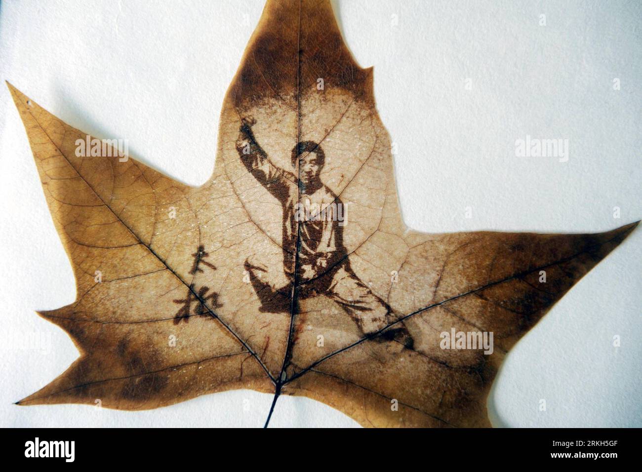 Liming chen hi-res stock photography and images - Alamy