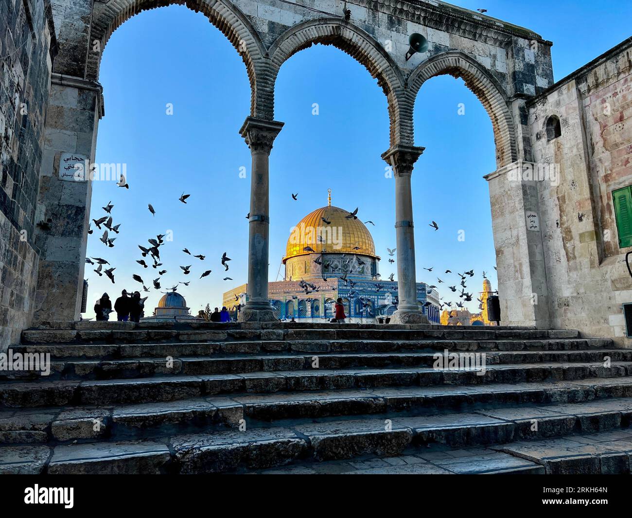 AL Aqsa Mosque In Morning With Birds Jerusalem Dome Of the rock Golden ...