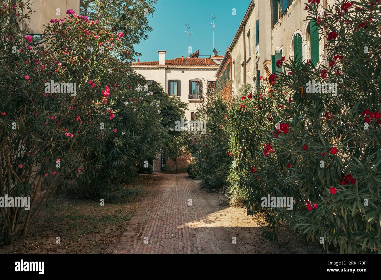 A breathtaking view of Venice, Italy with the buildings decorated with ...