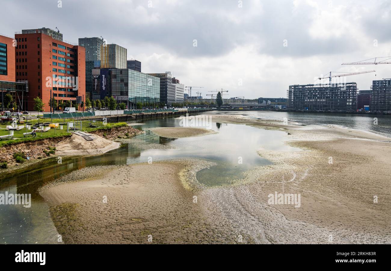 ROTTERDAM - Sandbanks in the reclaimed land in the Rijnhaven. Part of ...