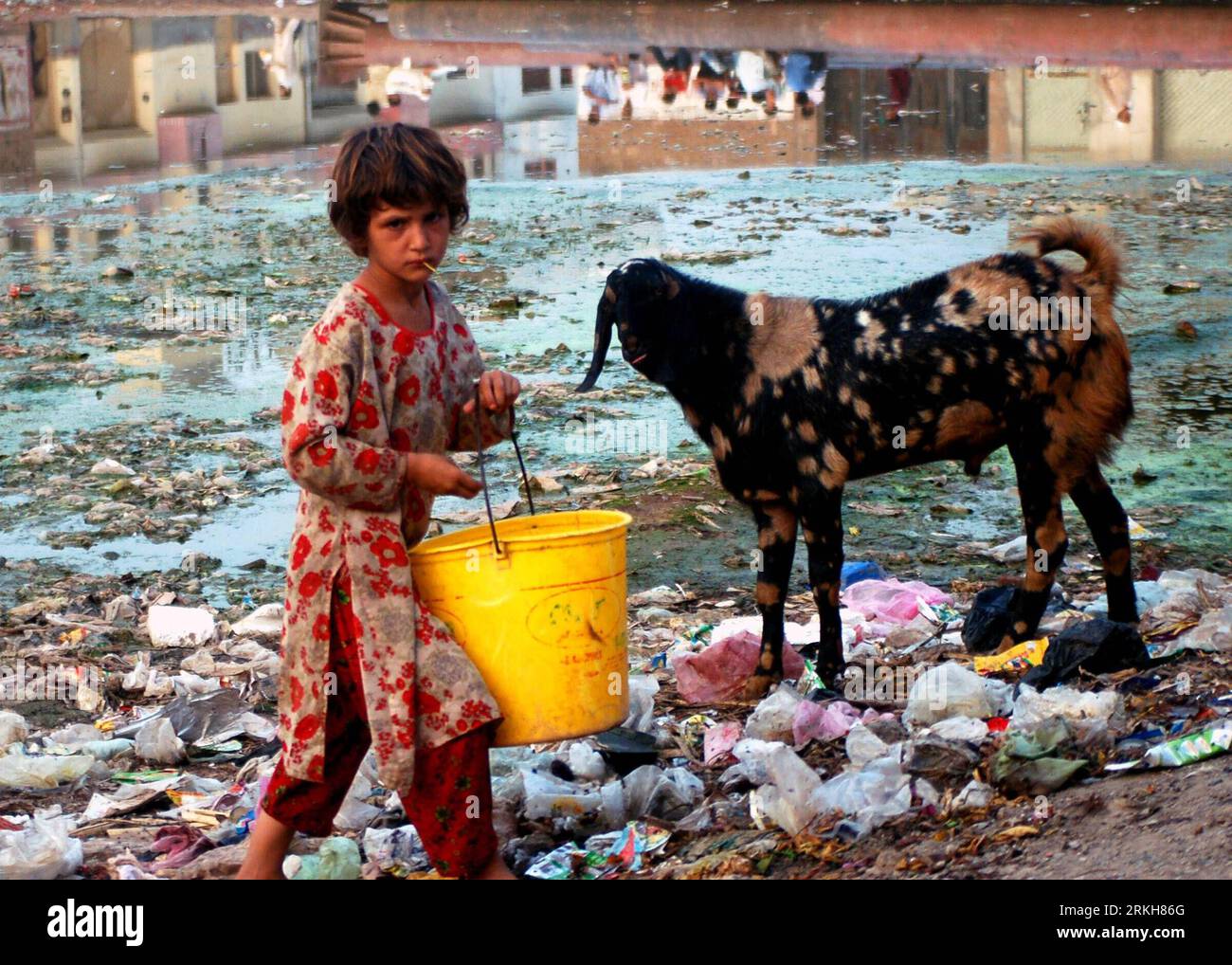 Bucket lifts hi-res stock photography and images - Alamy