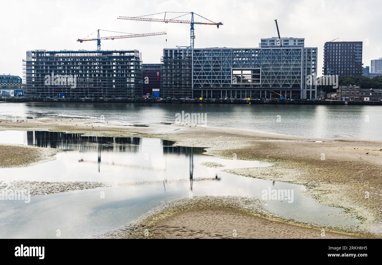 ROTTERDAM - Sandbanks in the reclaimed land in the Rijnhaven. Part of ...