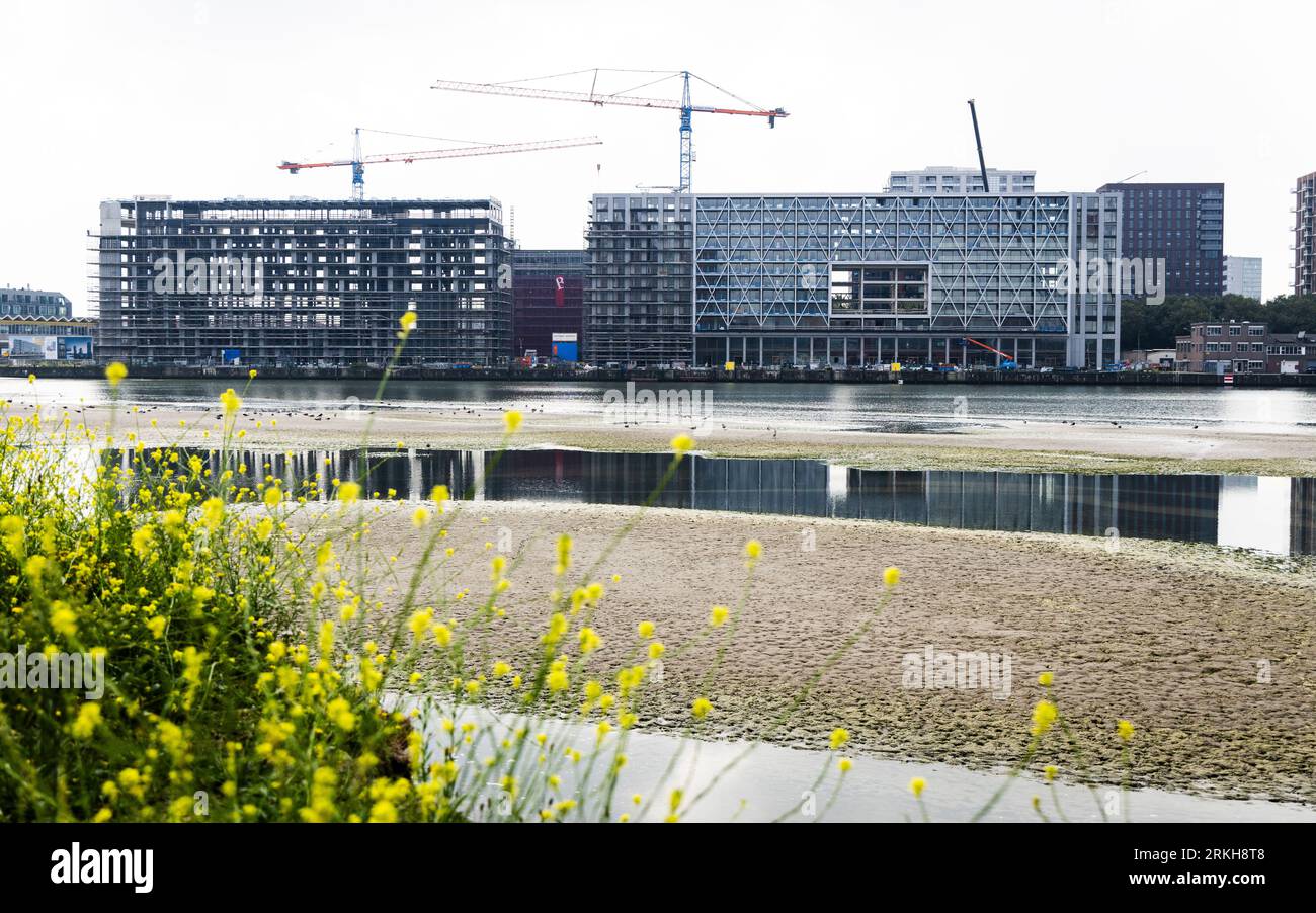 ROTTERDAM - Sandbanks in the reclaimed land in the Rijnhaven. Part of ...