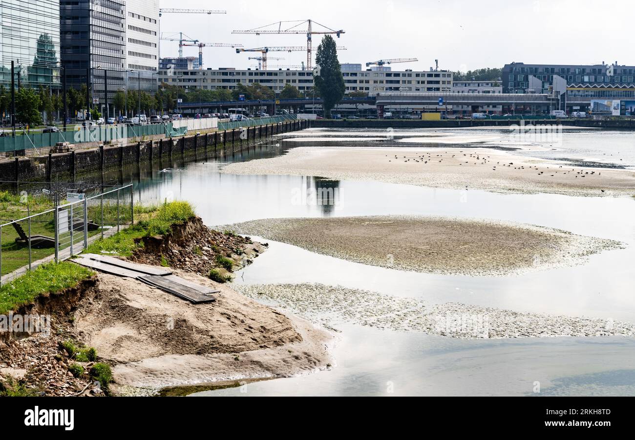 ROTTERDAM - Sandbanks in the reclaimed land in the Rijnhaven. Part of ...