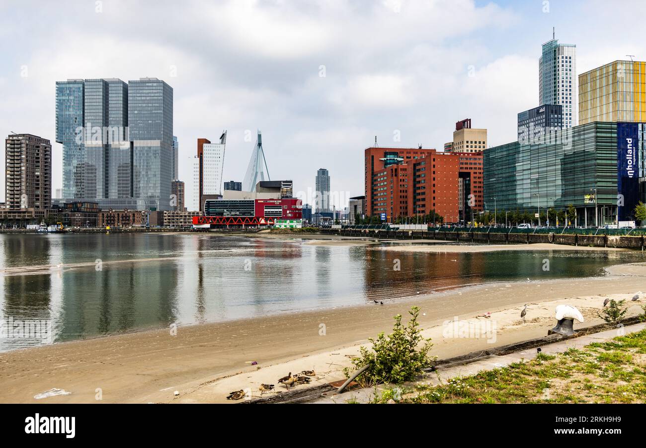 ROTTERDAM - Sandbanks in the reclaimed land in the Rijnhaven. Part of ...