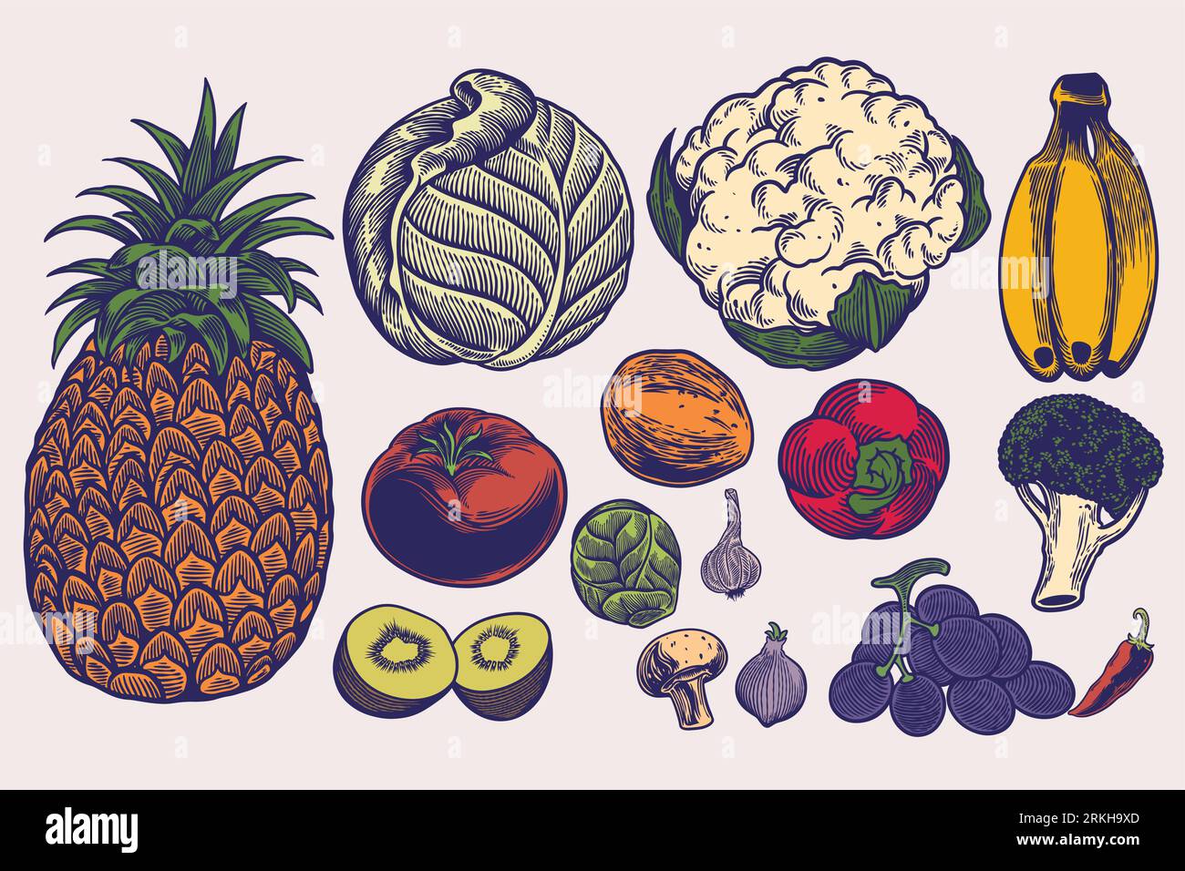 Big set of vegetables hand drawn illustrations in engraving style ...