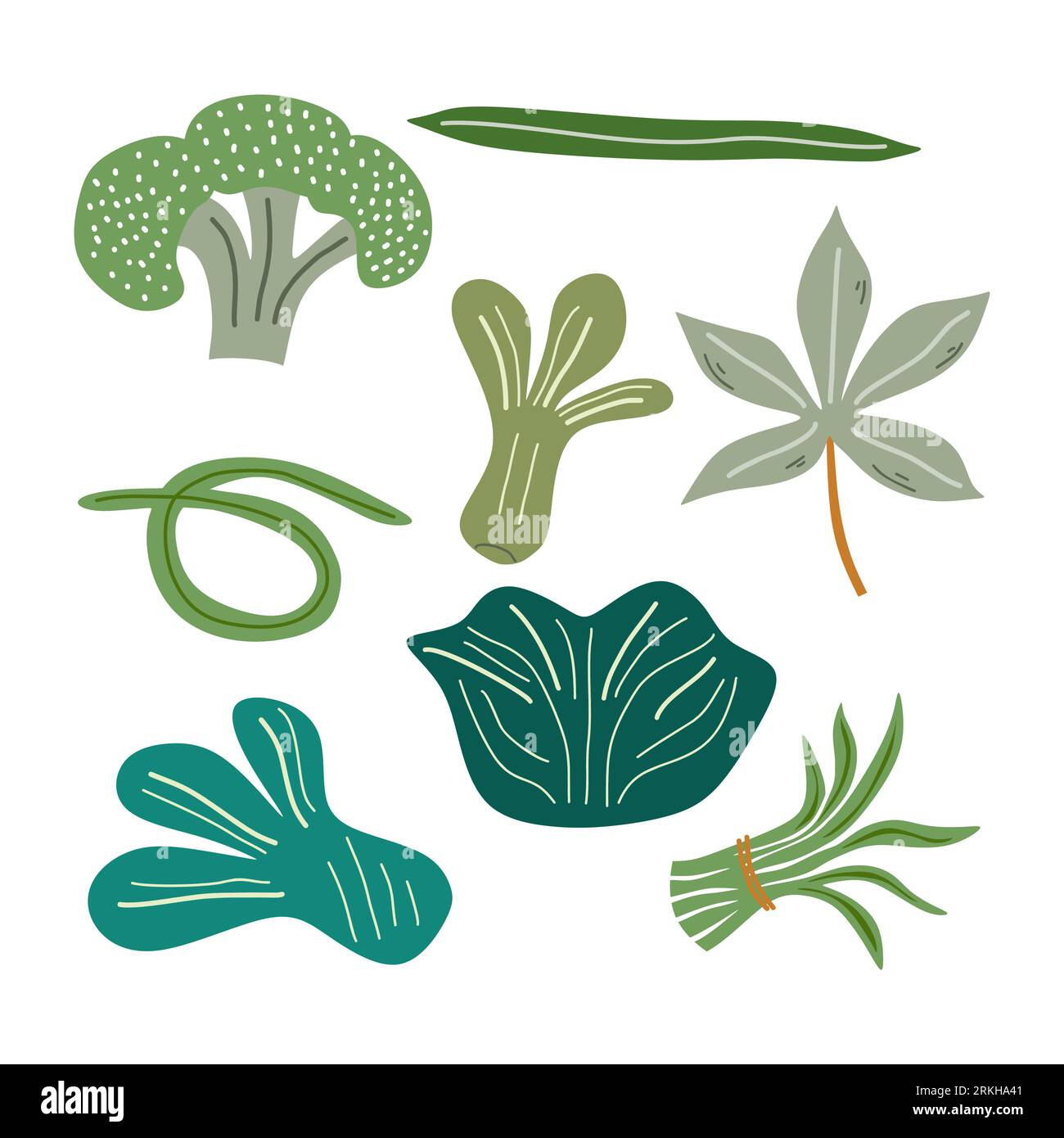 Set of different vegetables : broccoli, cabbage, long beans, mustard ...
