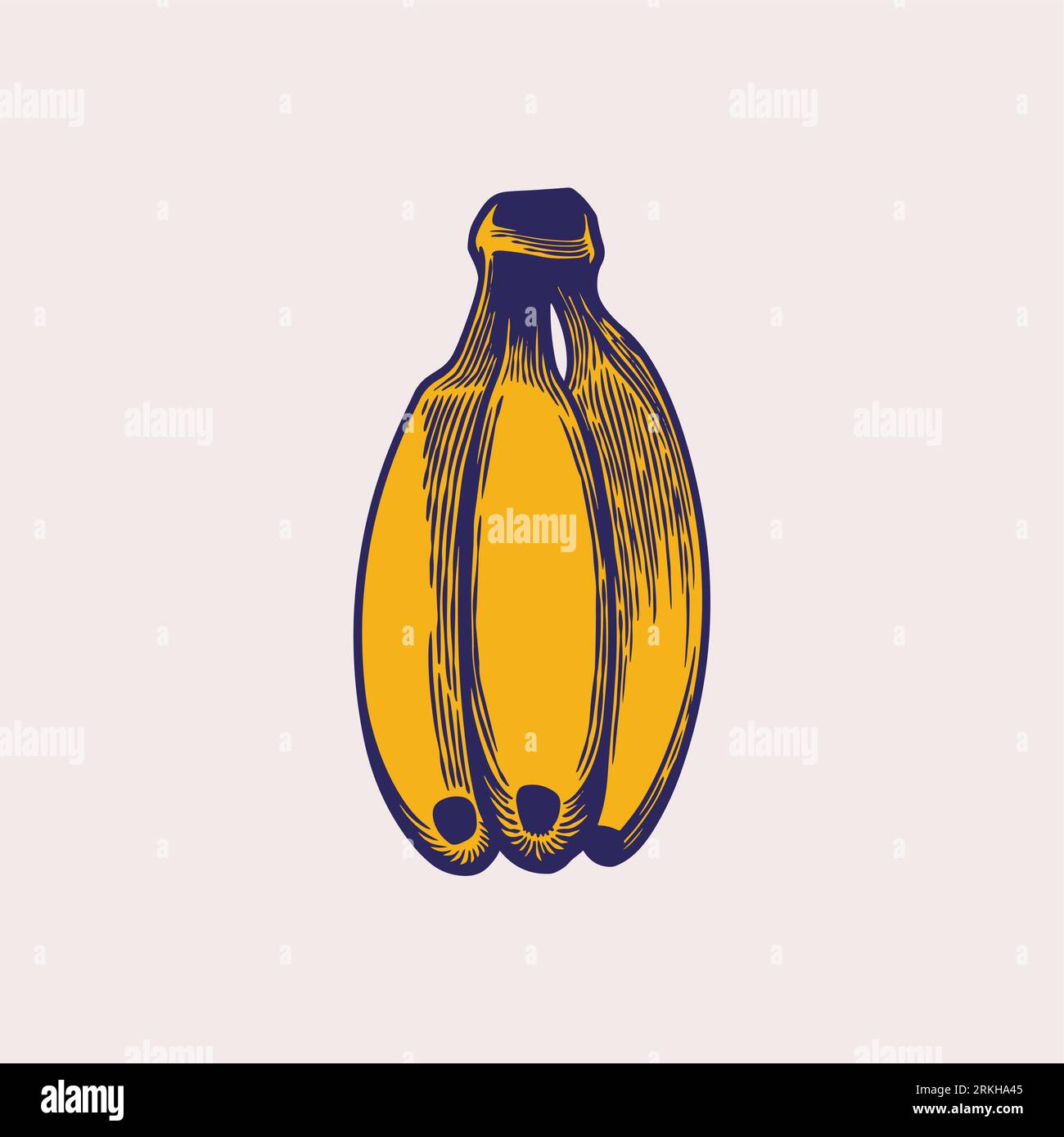 Banana hand drawn vintage engraving. Yellow fruits, a bunch of bananas. Tropical fruits, banana ...