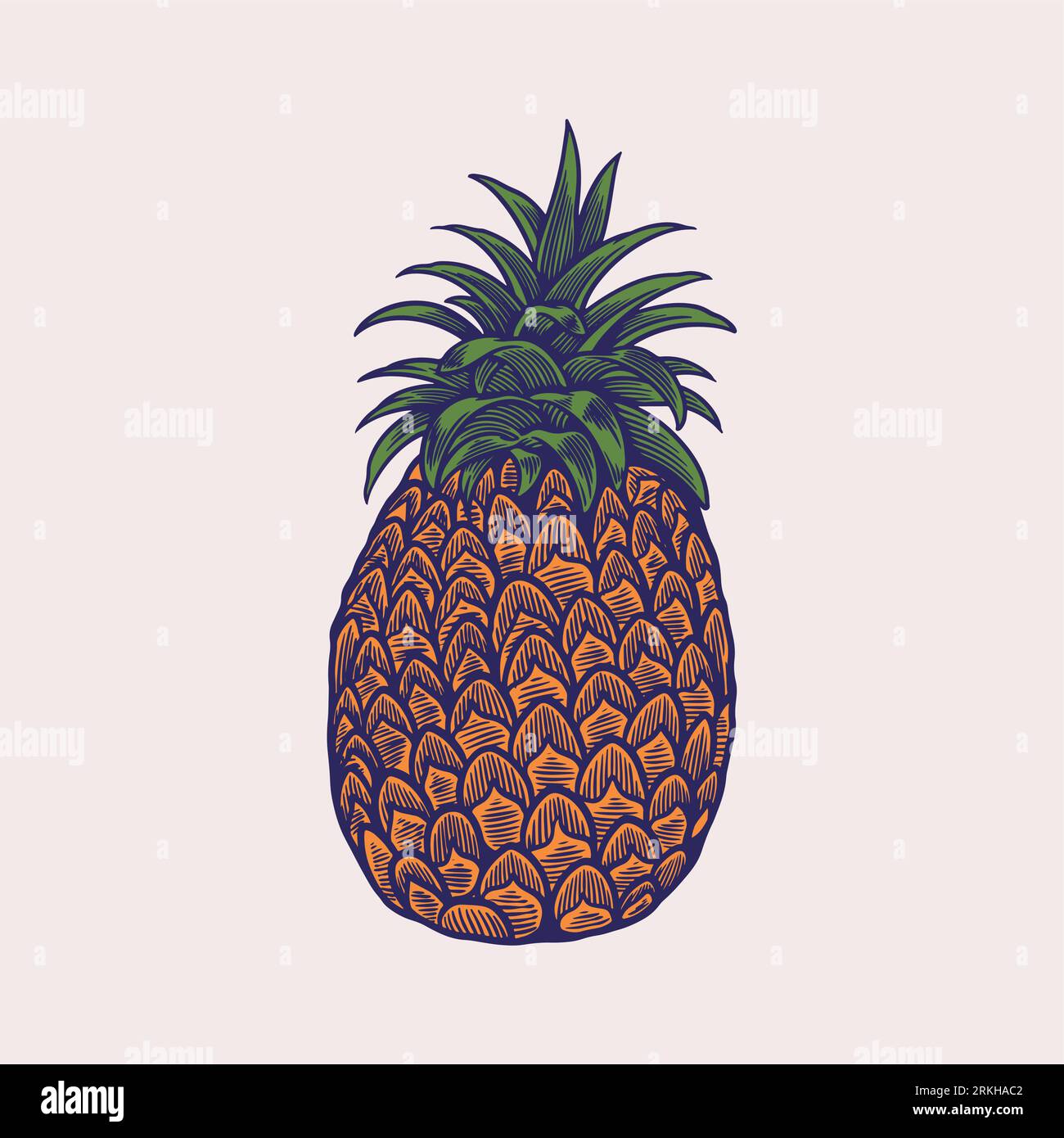 Hand drawn sketch style illustrations of ripe pineapples. Exotic ...