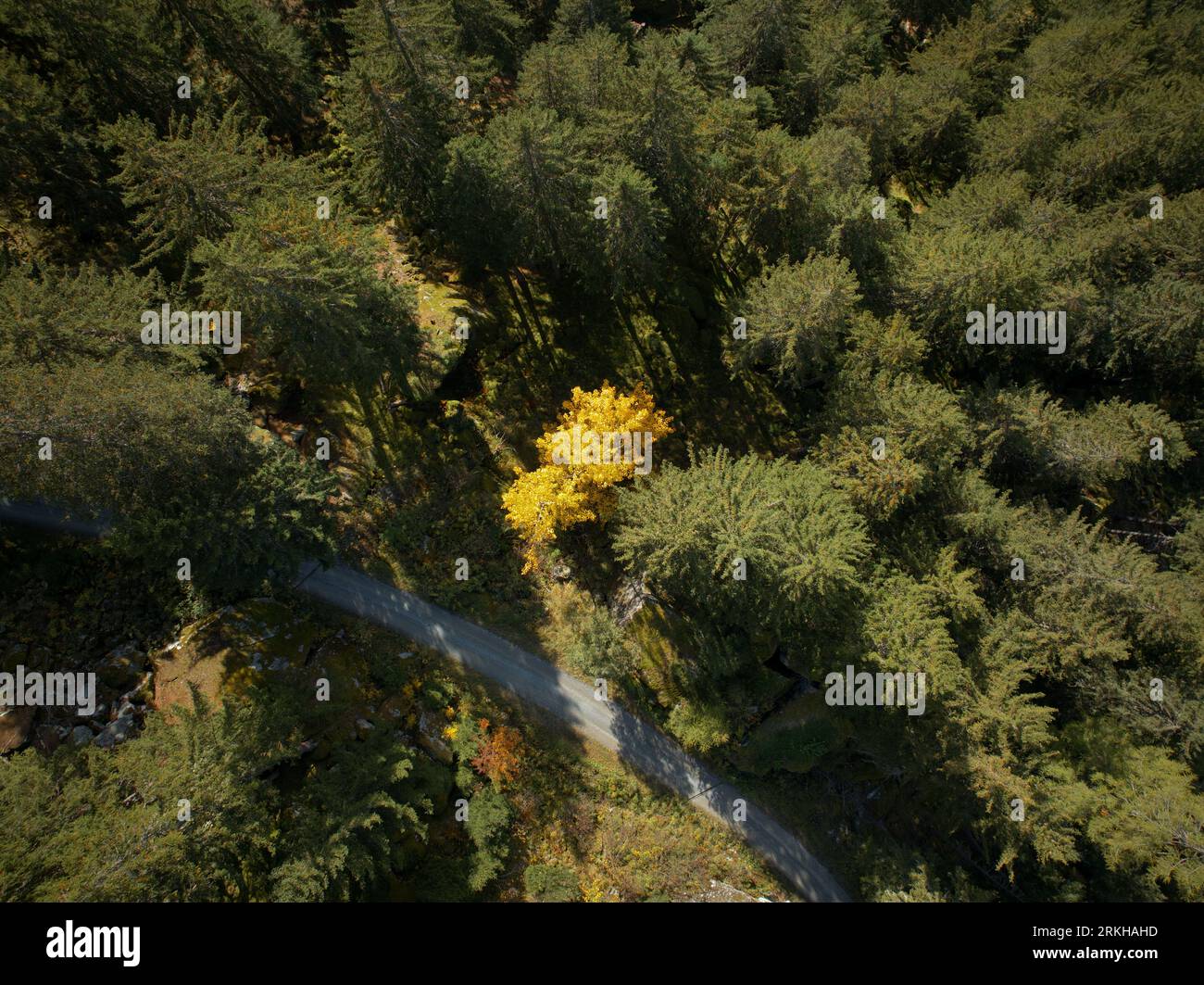 An aerial view of a green mountainous valley in the Swiss alps Stock ...