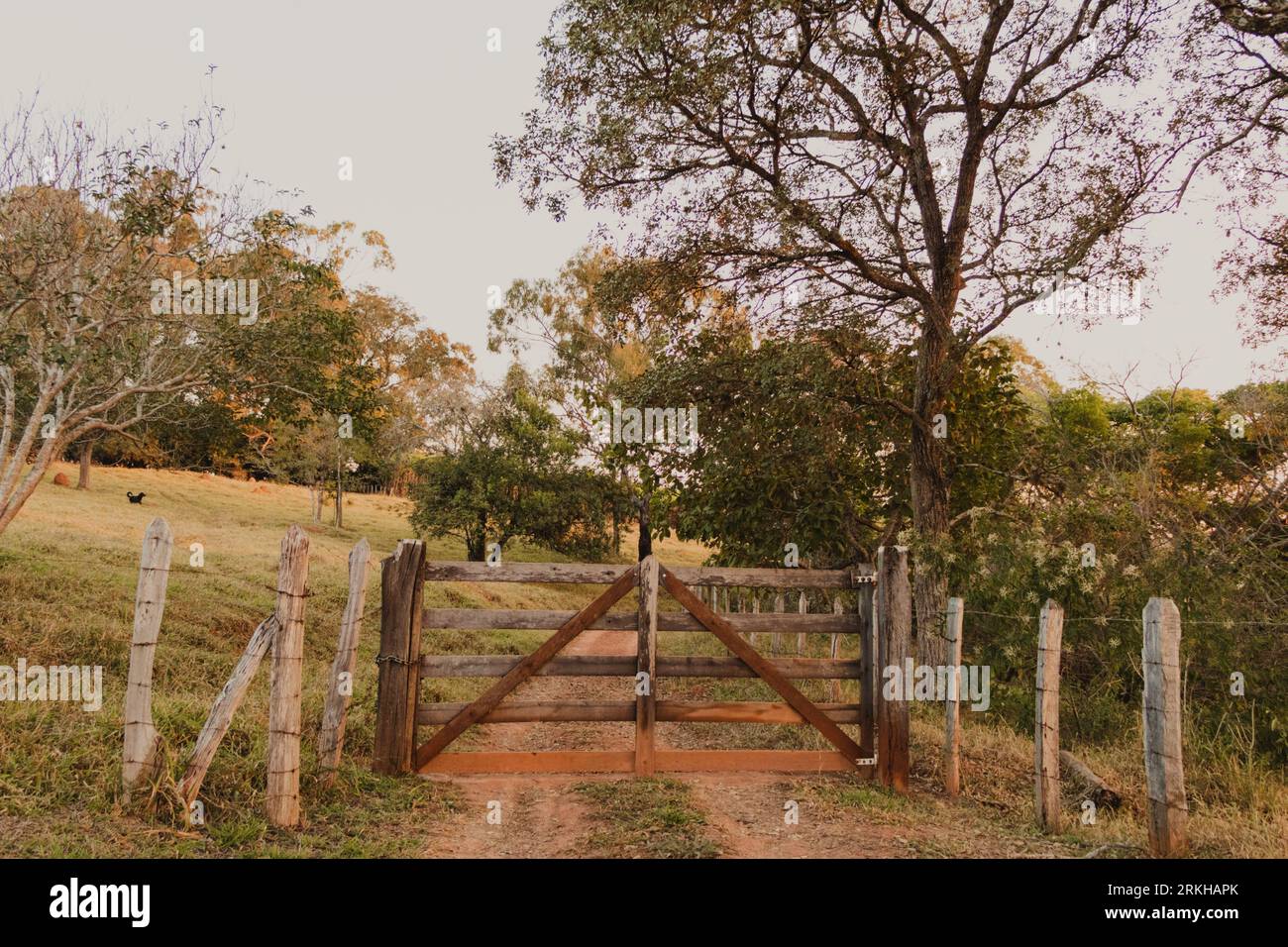 wooden gate in the countryside landscape Stock Photo - Alamy