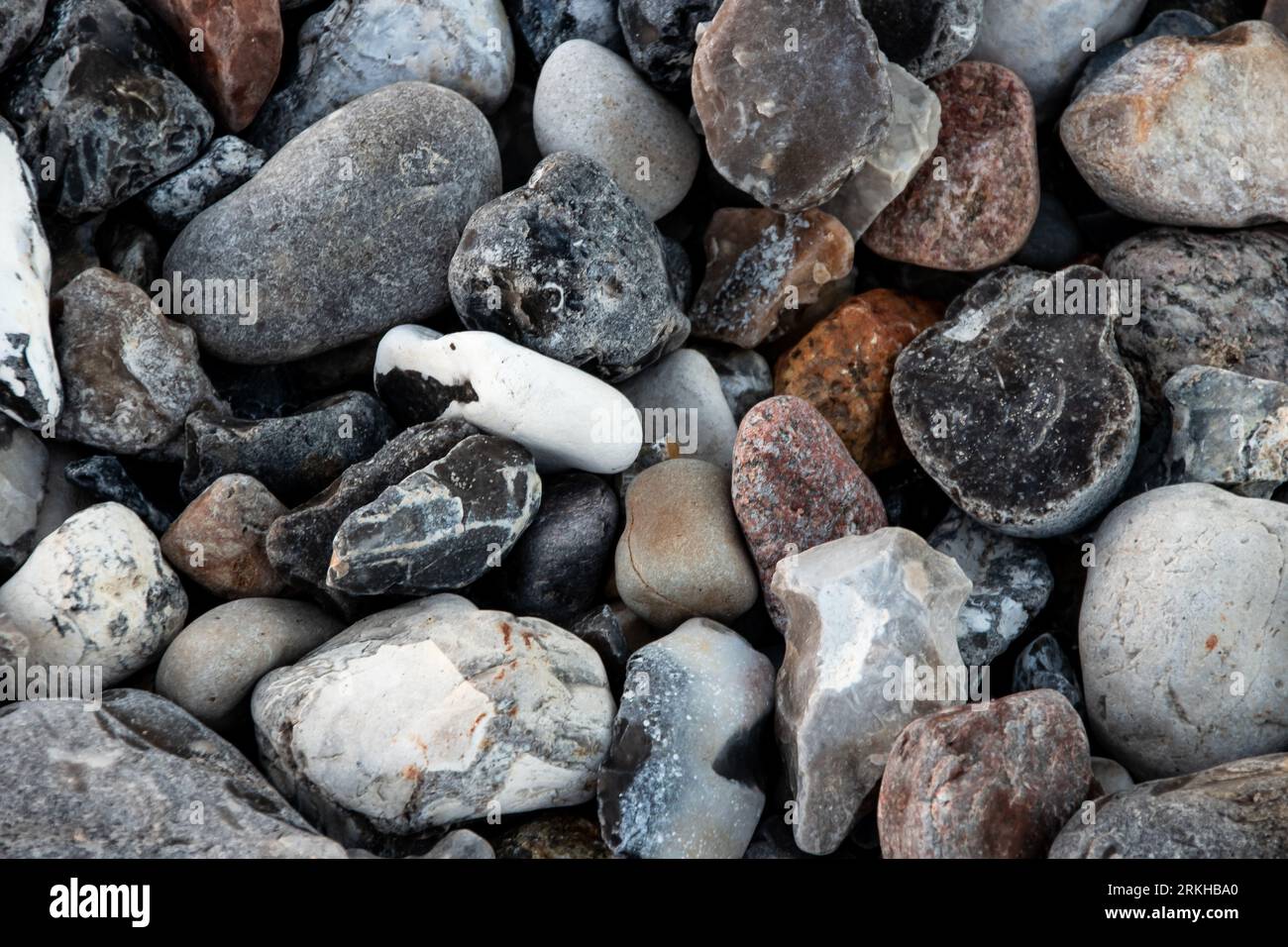 A beach landscape featuring a variety of stones of different shapes and ...