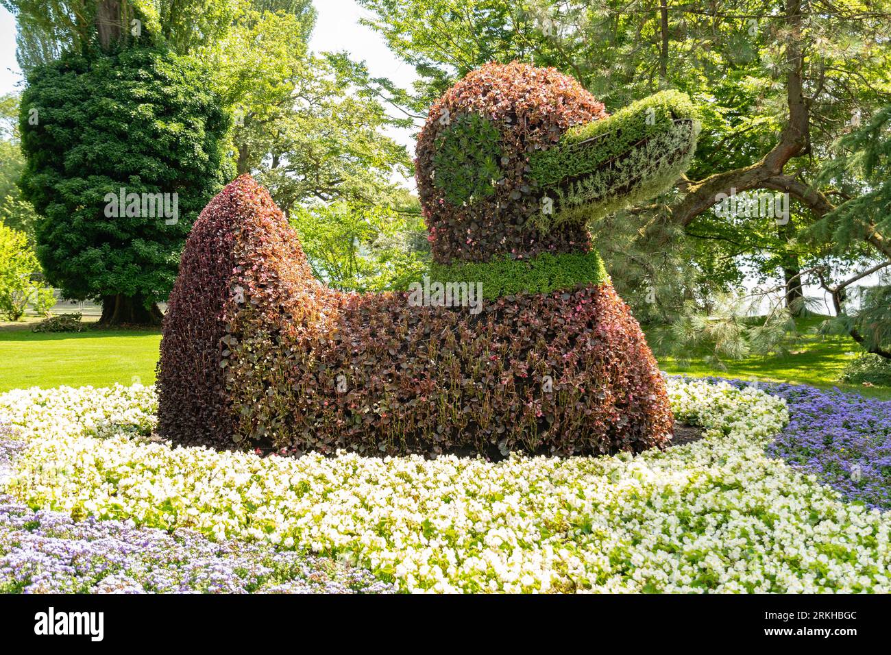Mainau, Germany, July 20, 2023 Sculpture of a duck made with flowers is ...