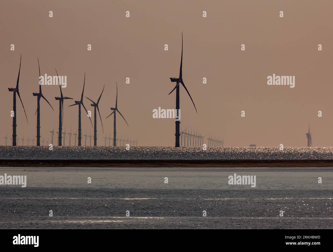 A cluster of wind turbines on a beach, illuminated by the golden light ...